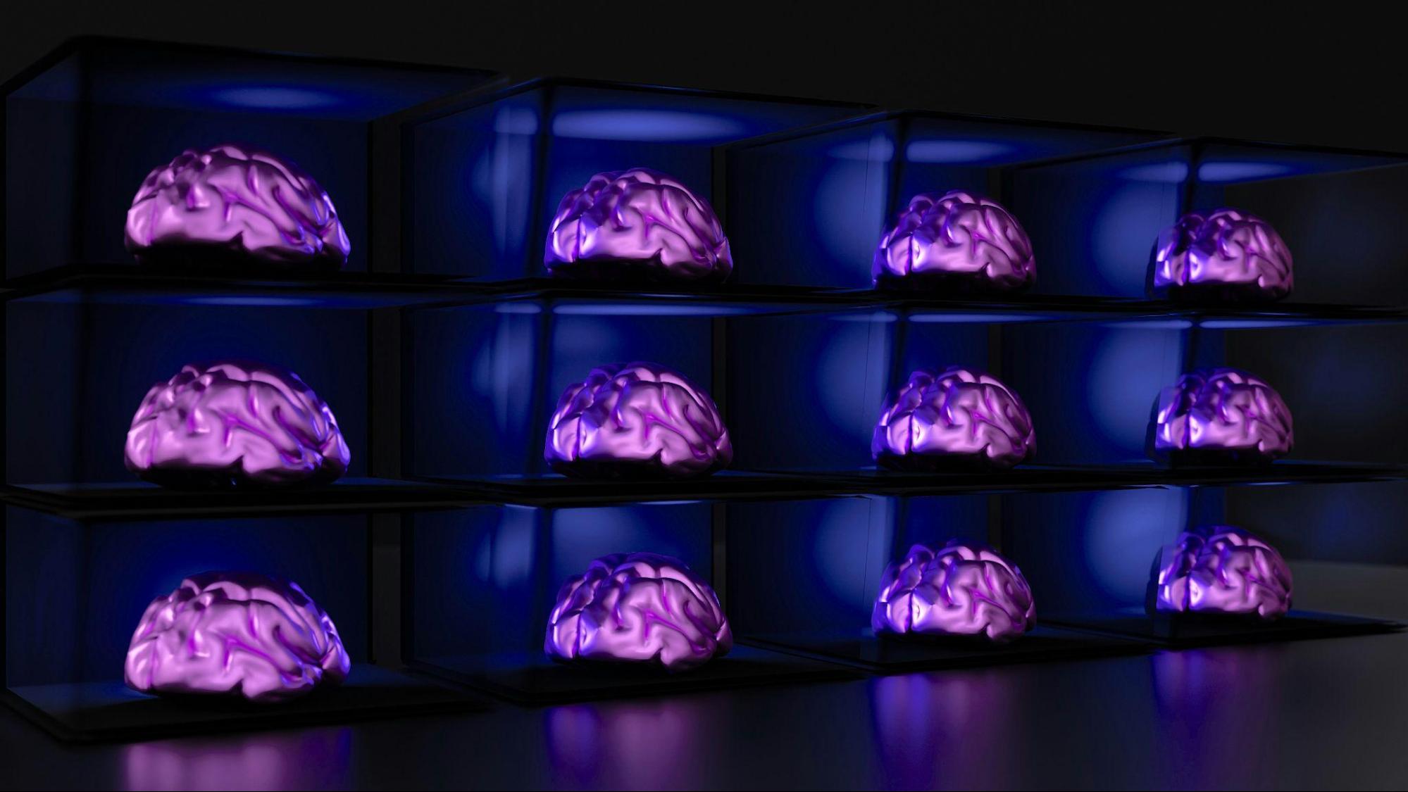 Theodore Rex Walrond: How Cognitive Neuroscience Explains Learning and ...